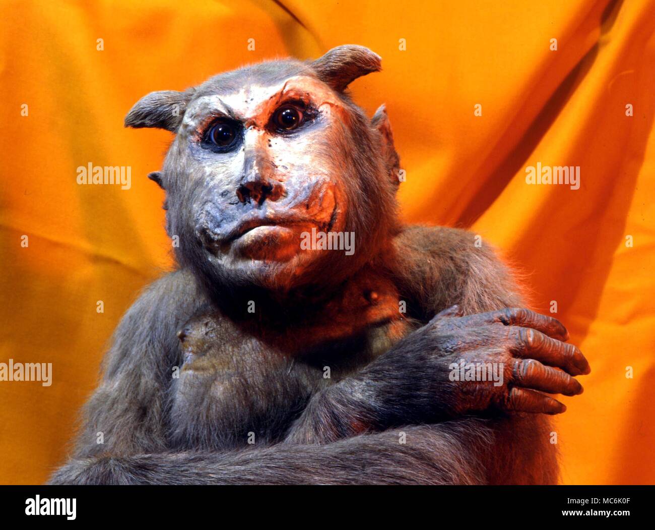 Monkey demons hi-res stock photography and images - Alamy