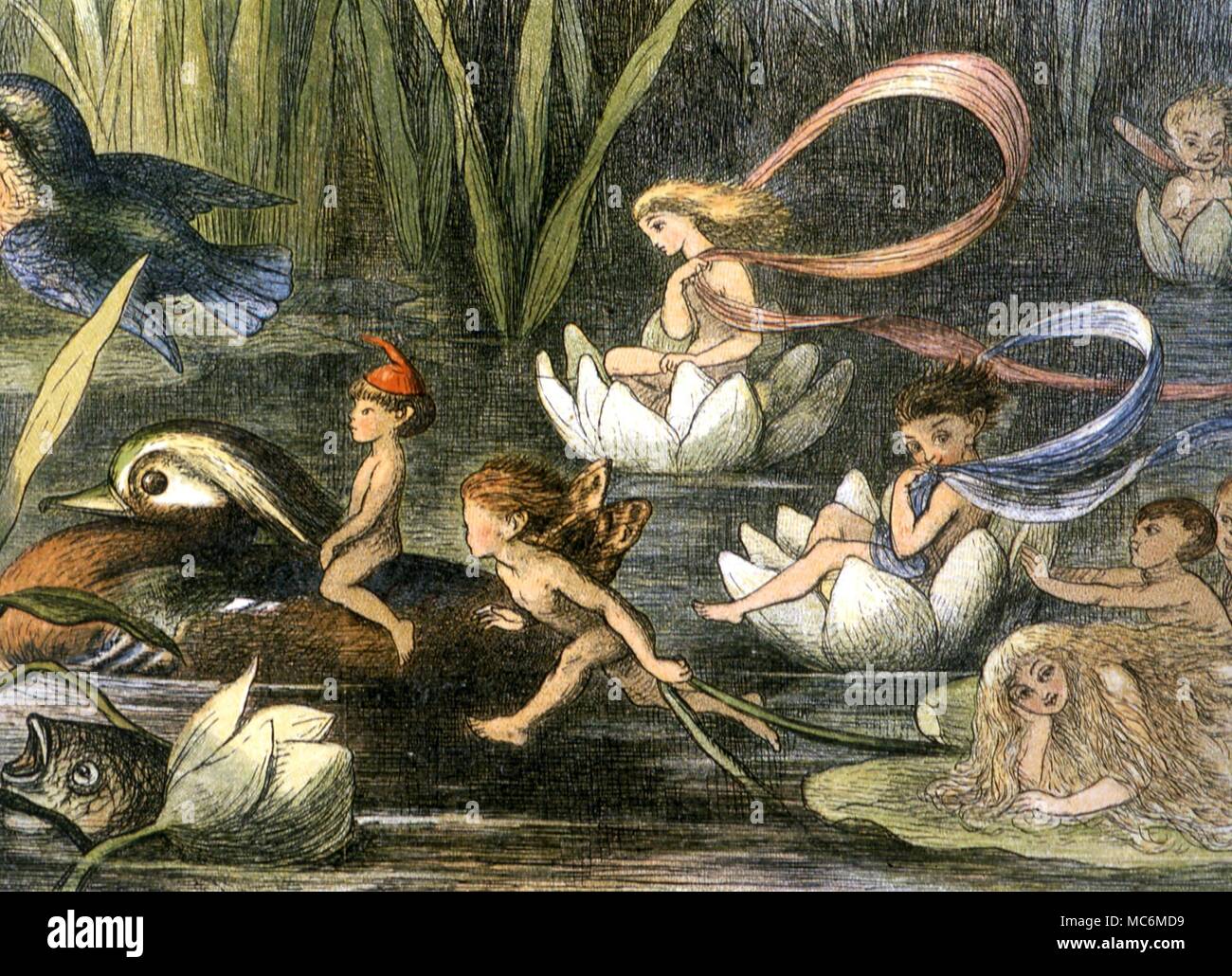 Fairy Paintings Artists