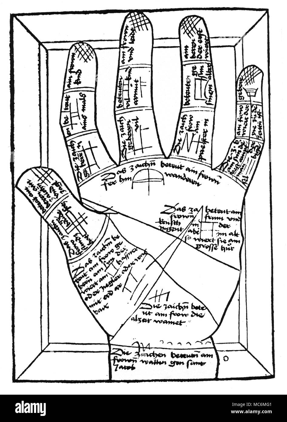 Palmistry diagram hi-res stock photography and images - Alamy