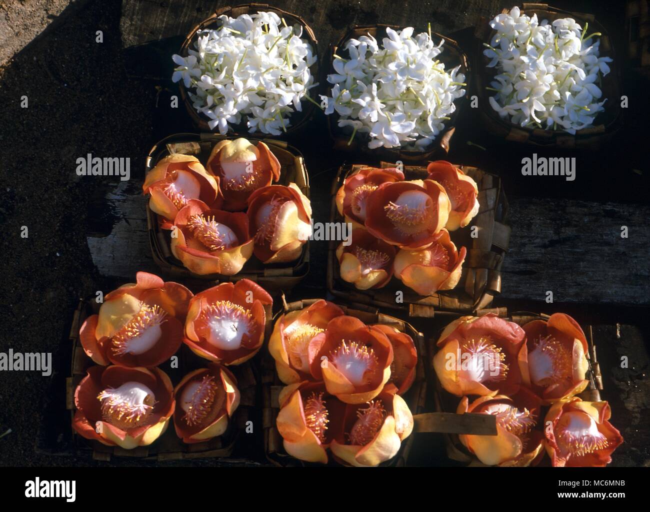 Temple offerings of flowers outside a Buddhist temple Stock Photo - Alamy