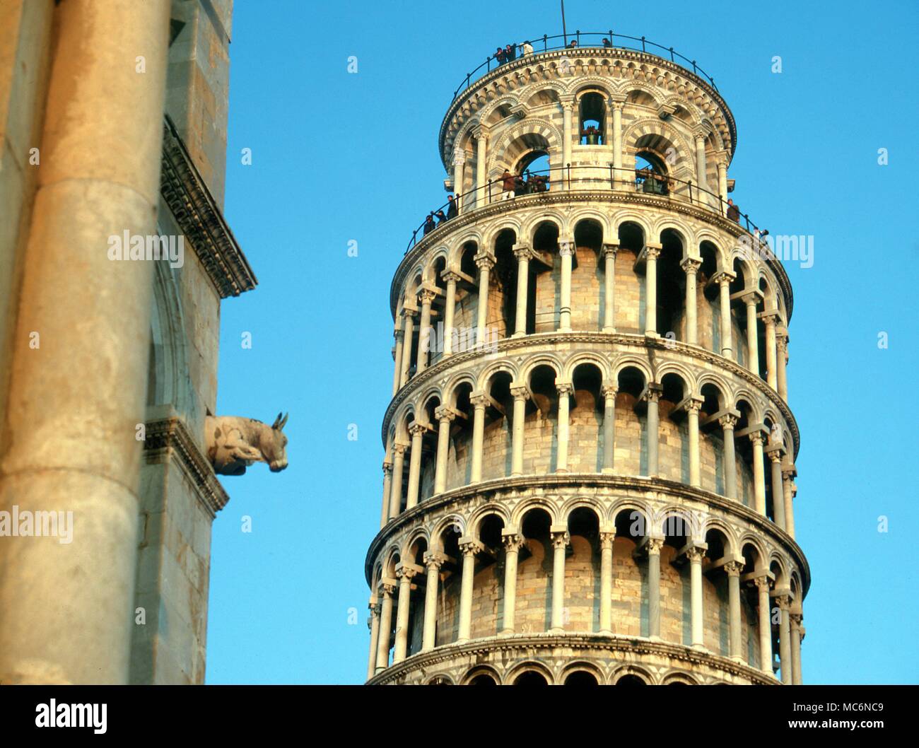 Italy Sacred Places The Leaning Tower of Pisa with the bull on the ...