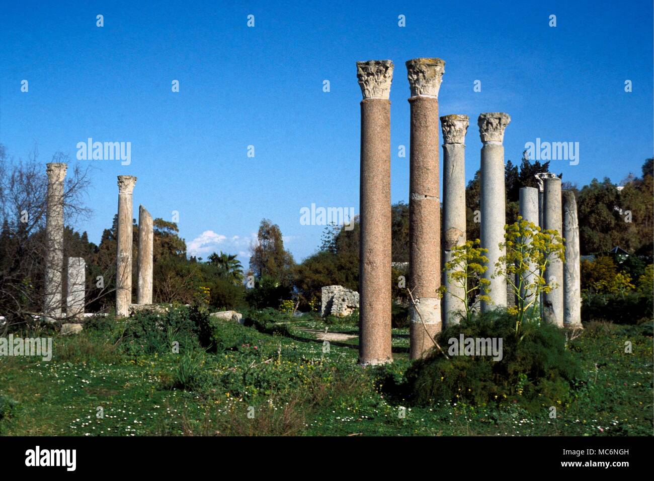 Tunisia Carthage Remains of the ancient Roman Antonine baths at ...
