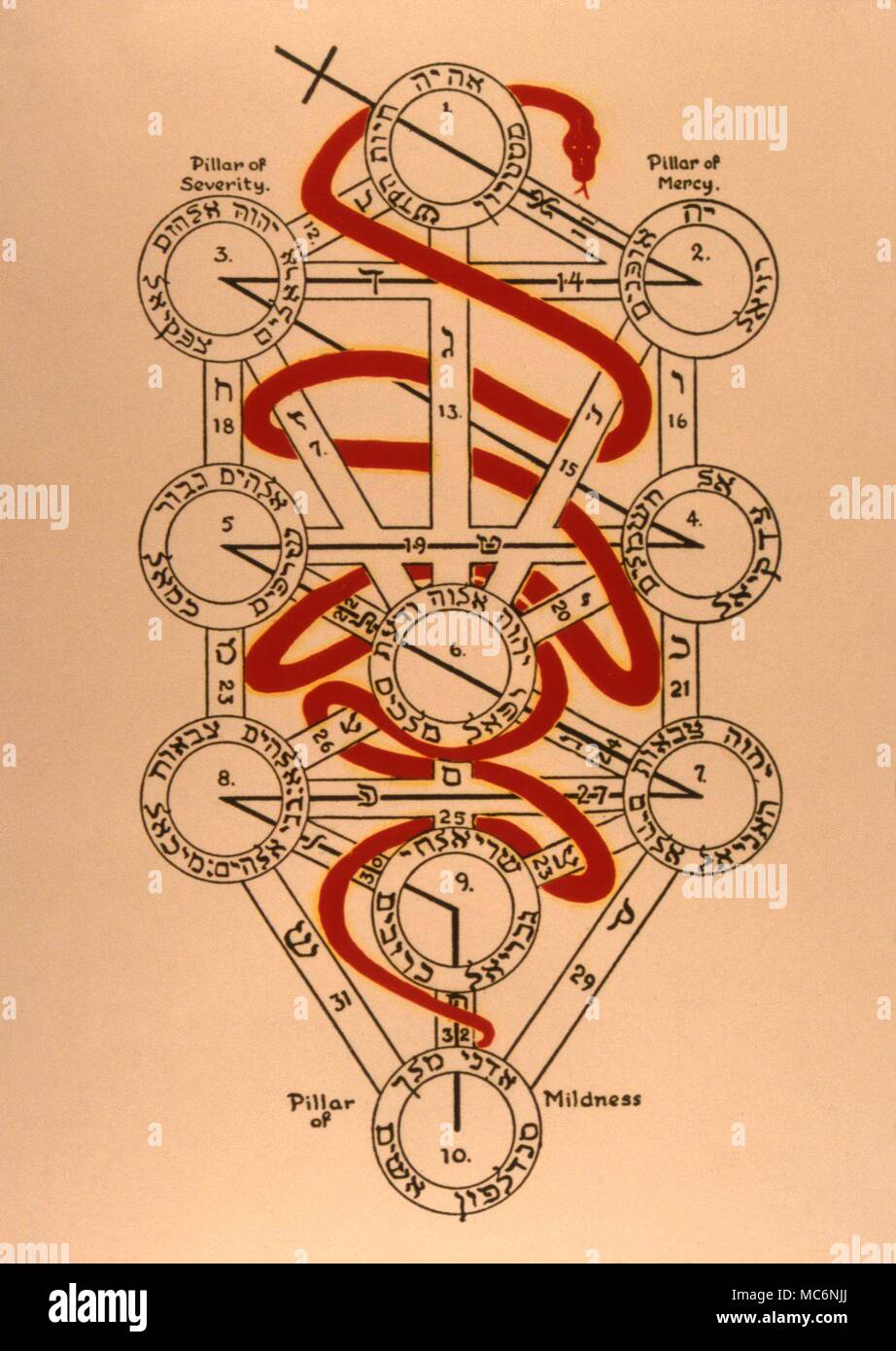 Kabbalah Tree Of Life Serpent