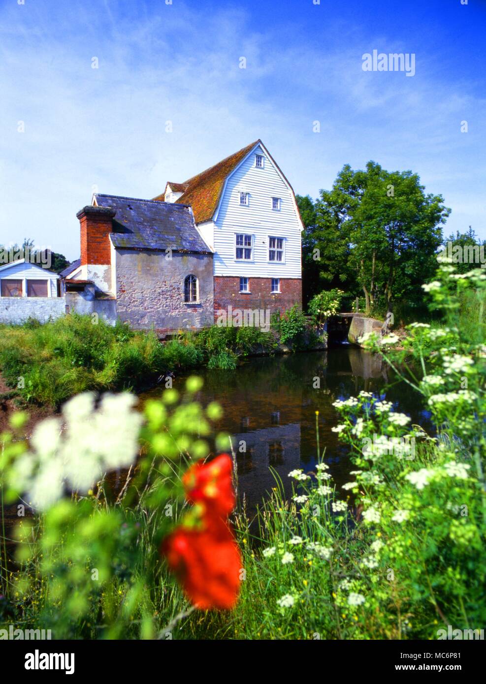 Historical swimming hi-res stock photography and images - Alamy