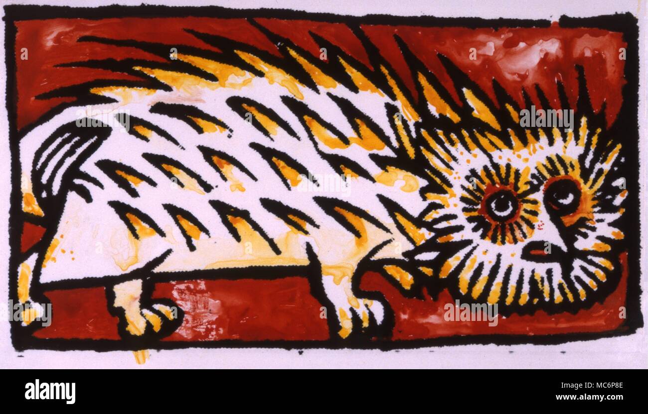 Witchcraft familiar cat hi-res stock photography and images - Alamy
