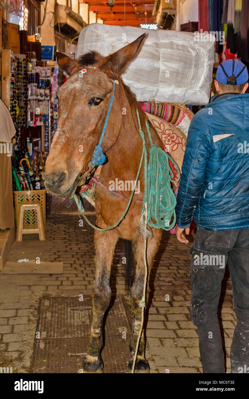African animal market hi-res stock photography and images - Alamy