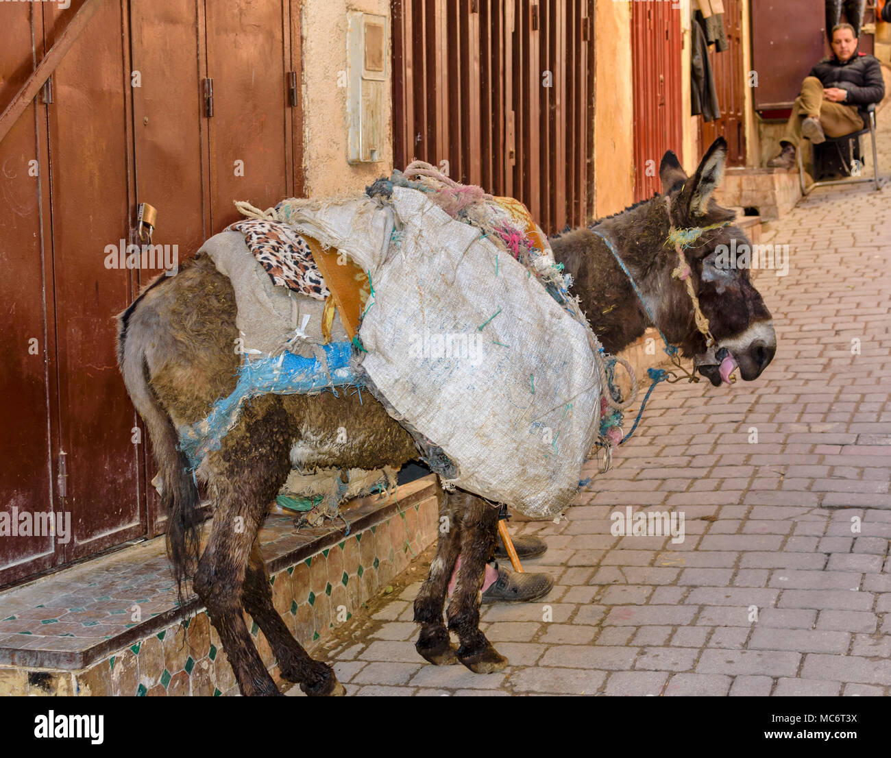 Arabic sick hi-res stock photography and images - Alamy