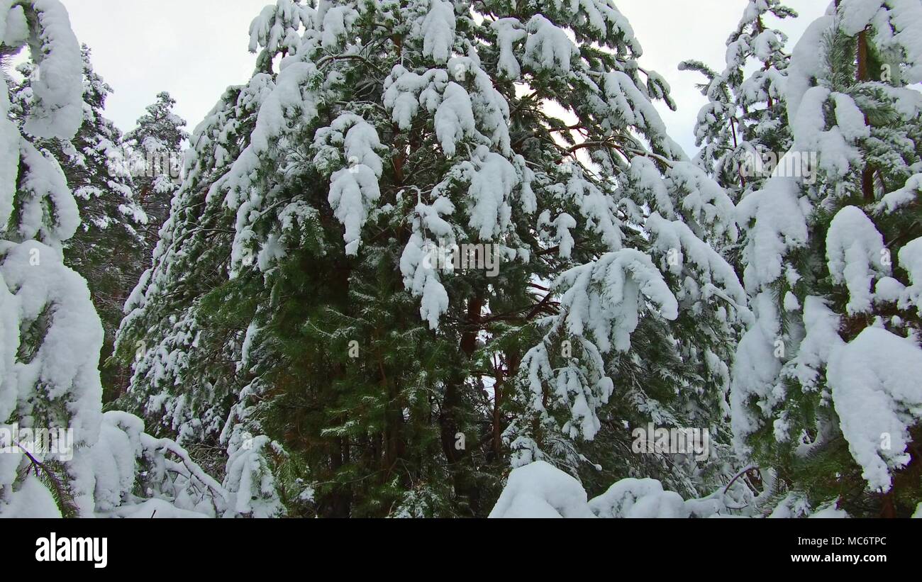 Drone shots during frosty winter hi-res stock photography and images ...