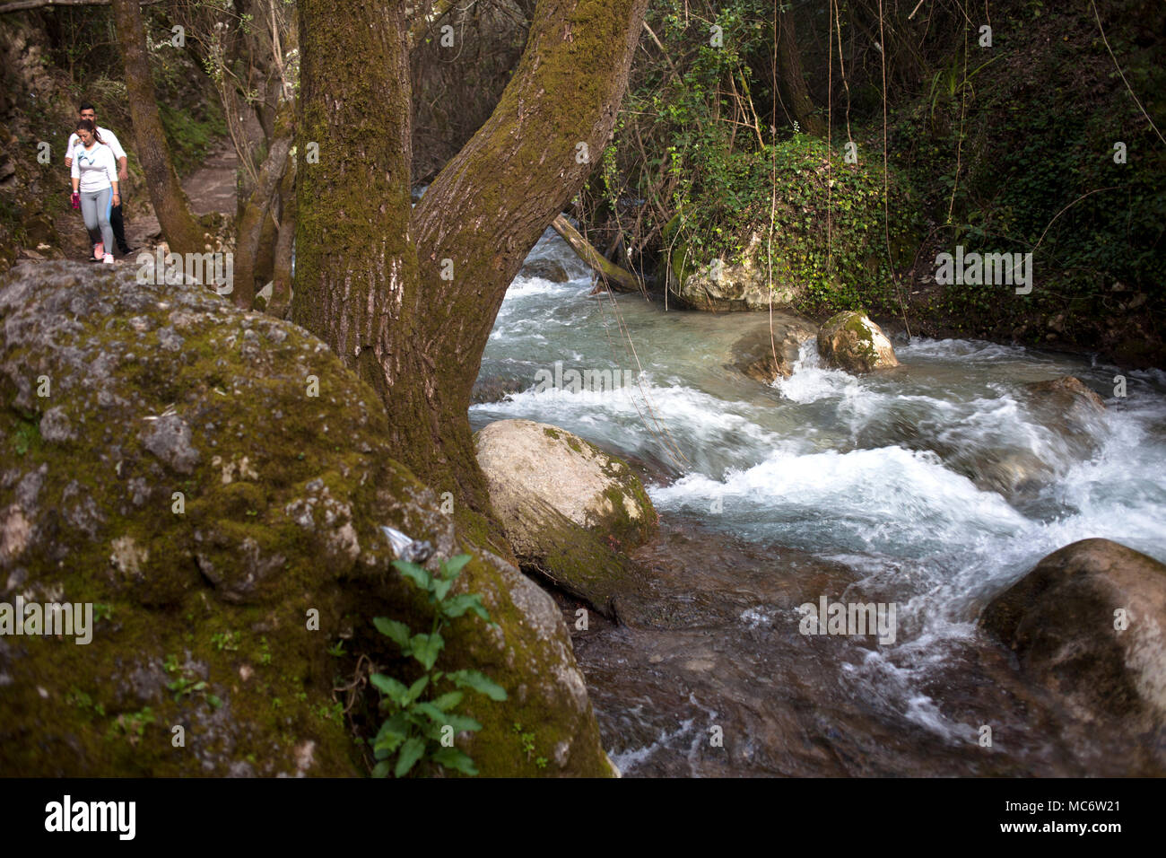 Bosque river hi-res stock photography and images - Alamy