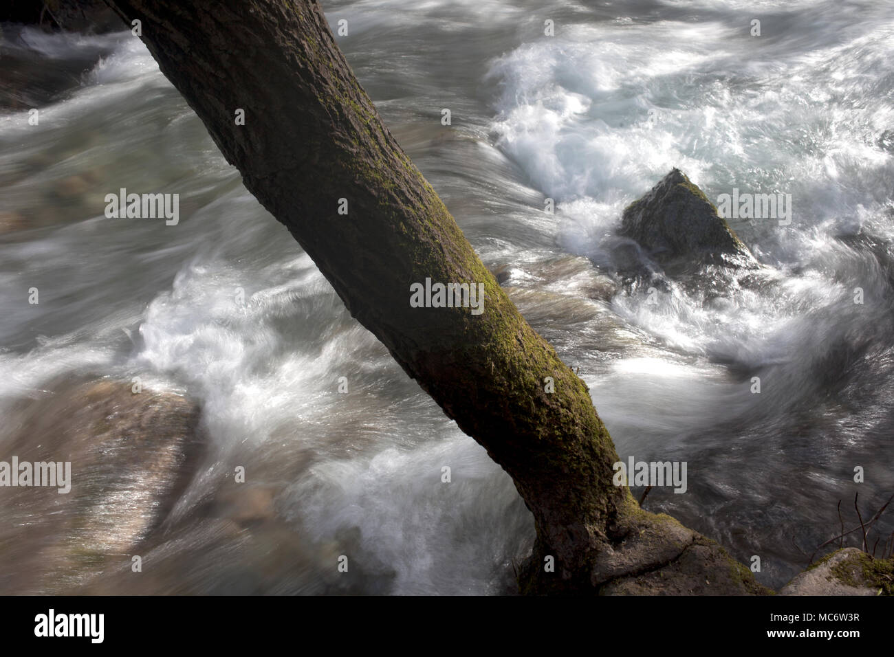 Bosque river hi-res stock photography and images - Alamy