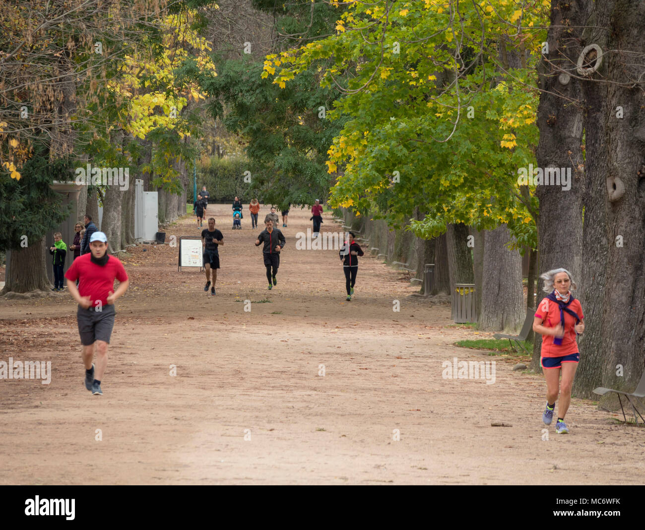 runners exercising in the Jardin des plantes, the French Botanical ...