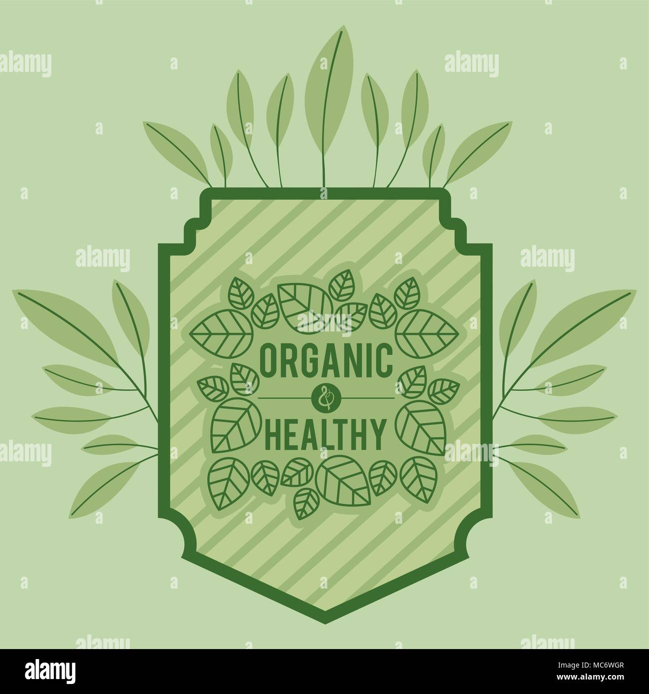frame with leafs of organic and health food vector illustration design ...