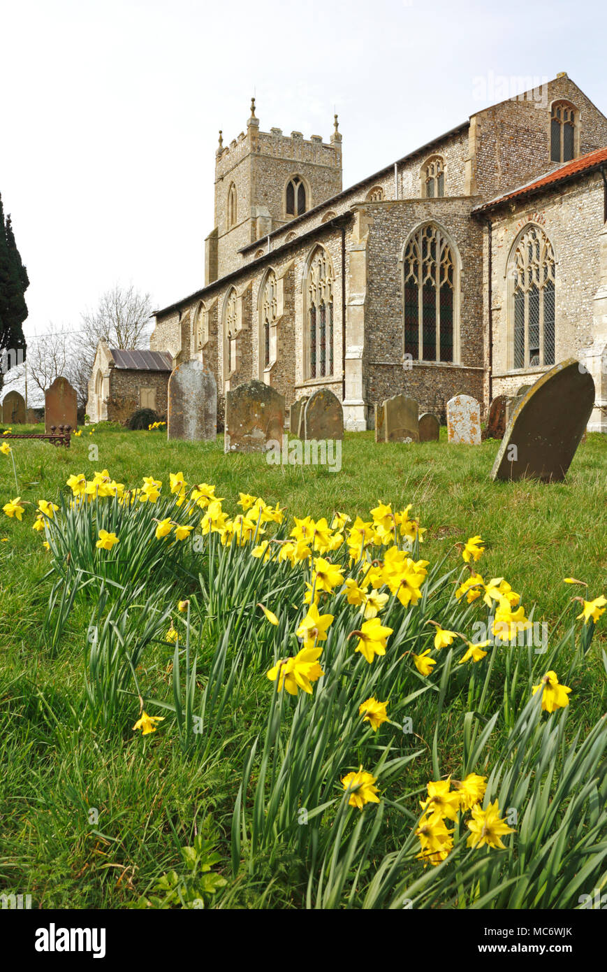 A view of the parish church of St Mary the Virgin in spring at Wiveton ...
