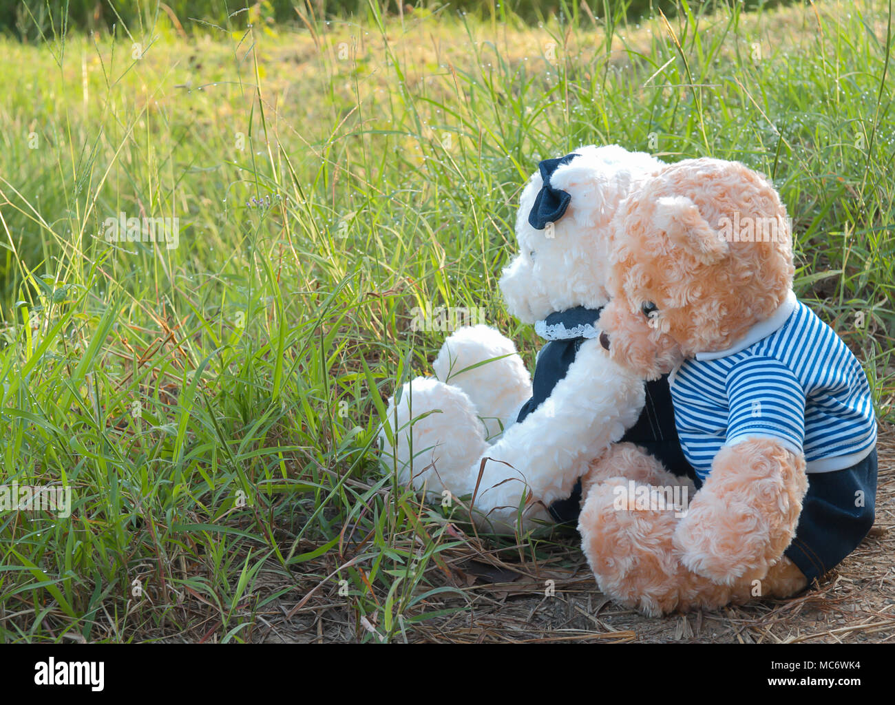 Two teddy bears hugging hi-res stock photography and images - Alamy