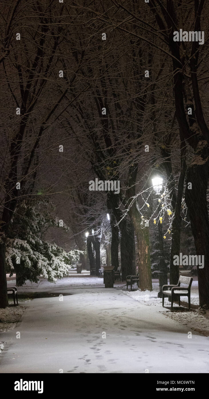 Night alley snow hi-res stock photography and images - Alamy