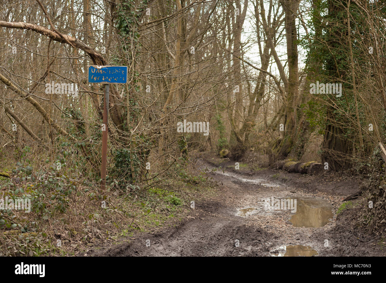 What the **** , how are you meant to know what to do with this un ...