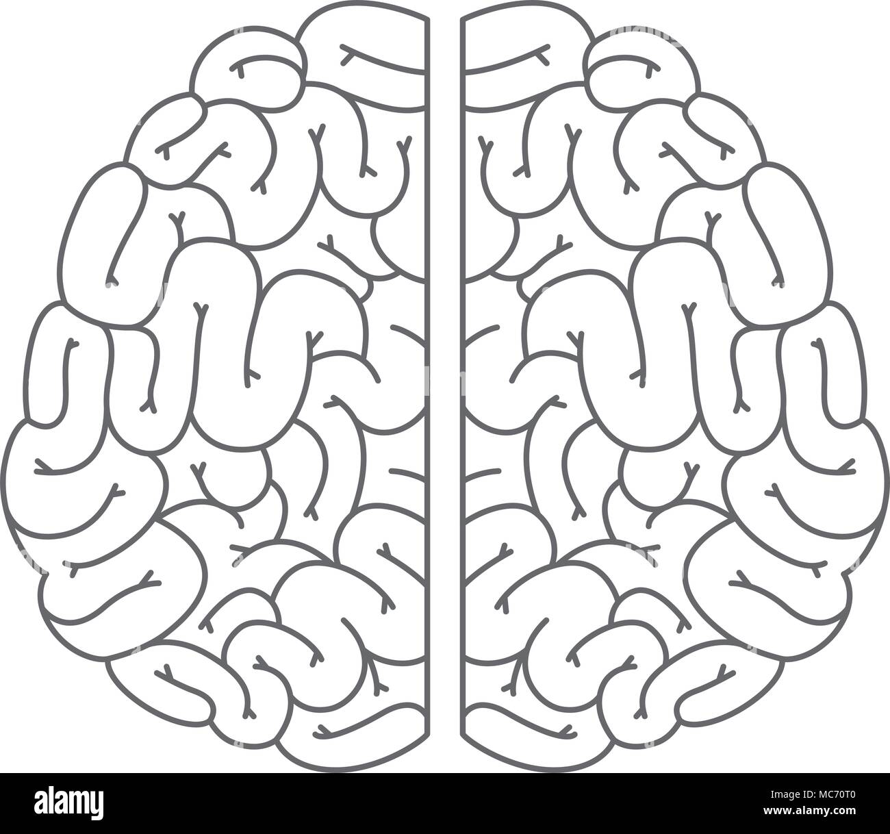 human brain organ icon vector illustration design Stock Vector Image ...