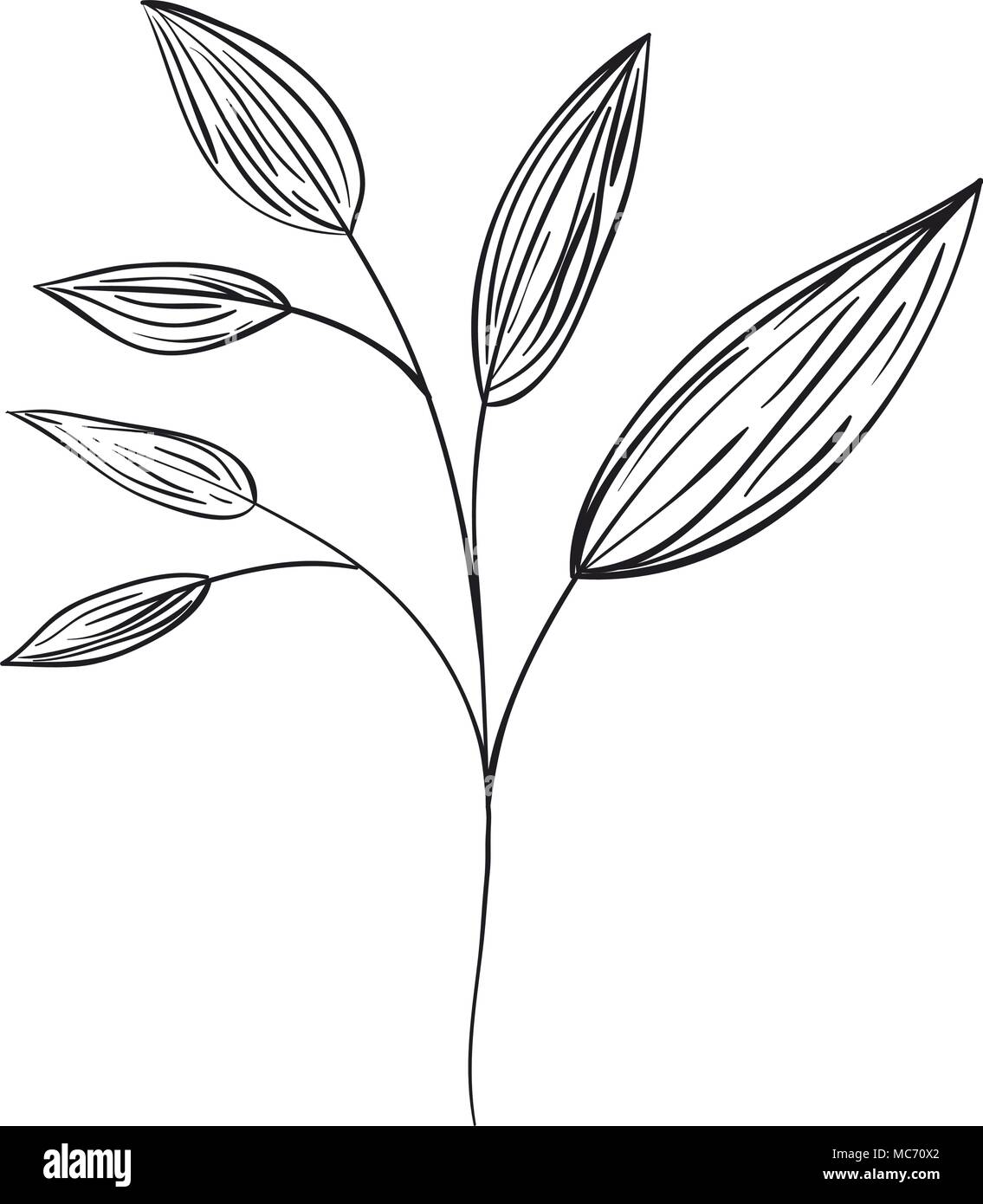plant branch with leaves vector illustration design Stock Vector Image ...