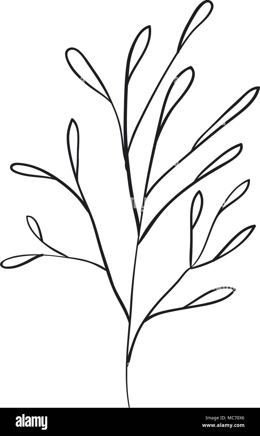plant branch with leaves vector illustration design Stock Vector Image ...