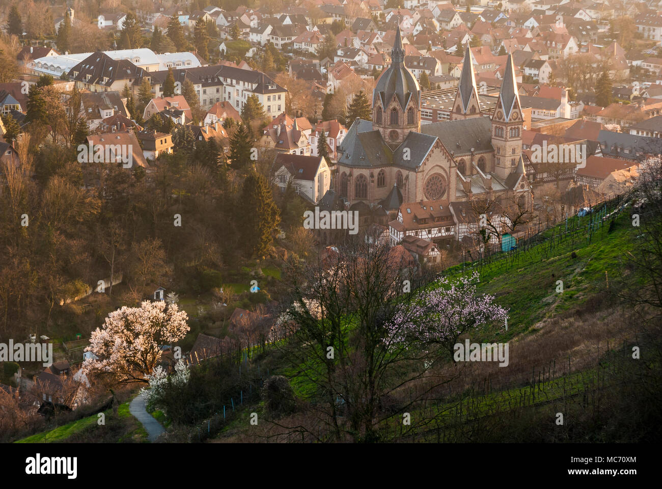 Blick über Heppenheim, Dom der Bergstrasse, Hessen, Deutschland, Europa ...