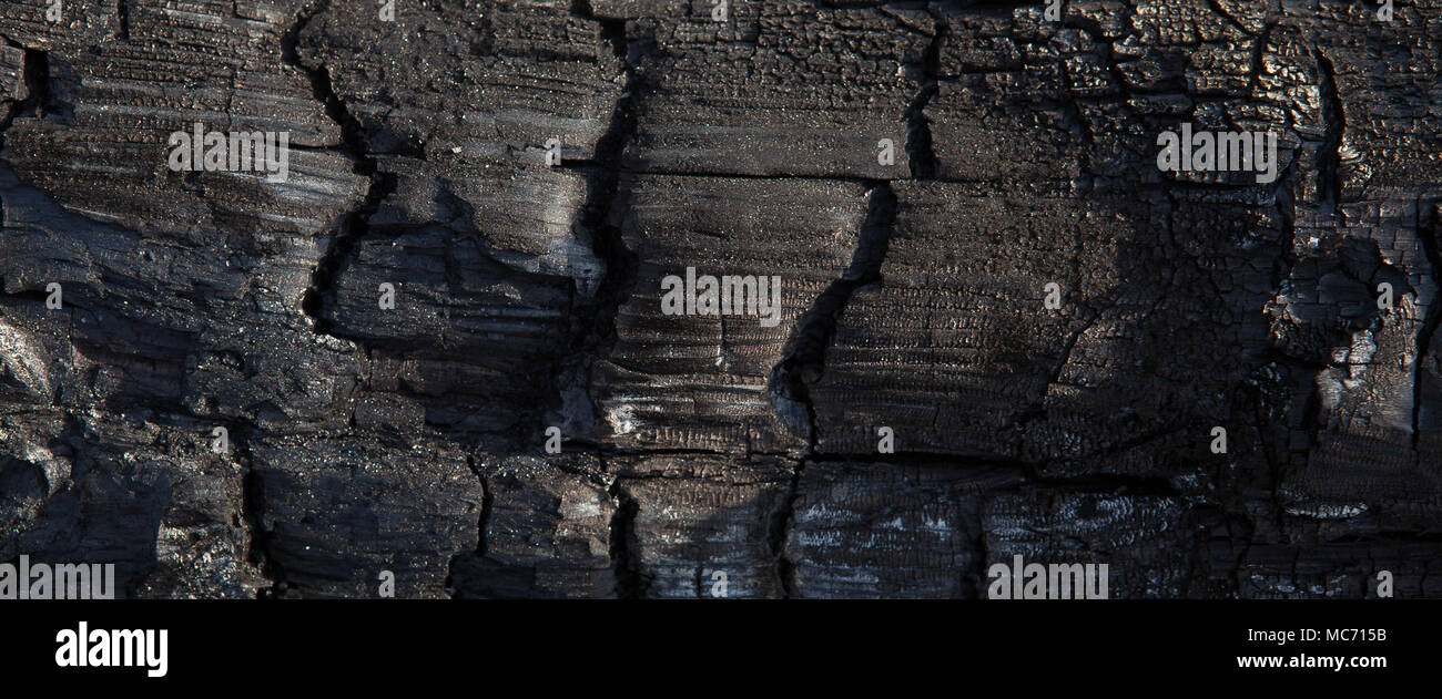 Burnt cracked wood texture hi-res stock photography and images - Alamy