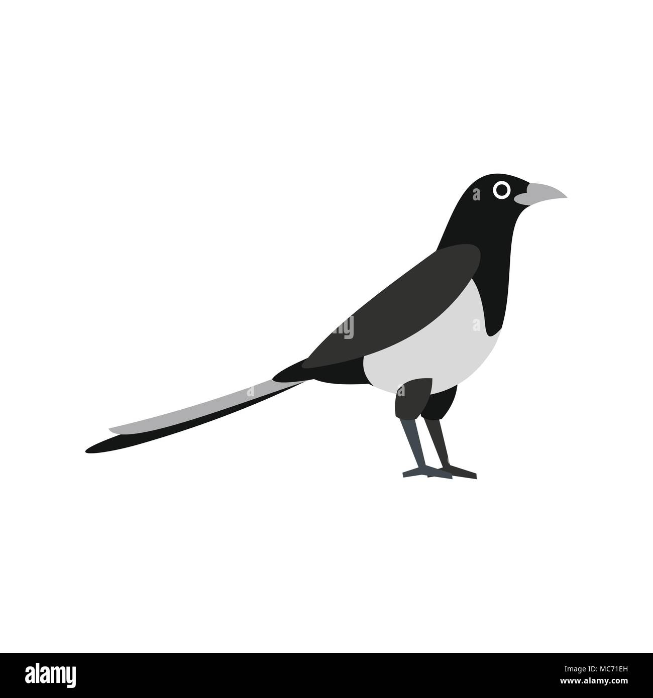 Magpie icon in flat style Stock Vector Image & Art - Alamy