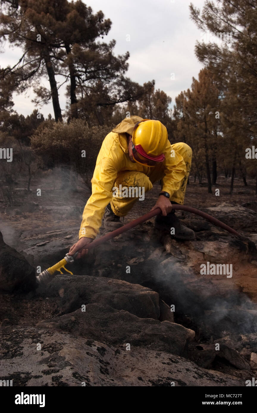 Putting out forest fire hi-res stock photography and images - Alamy