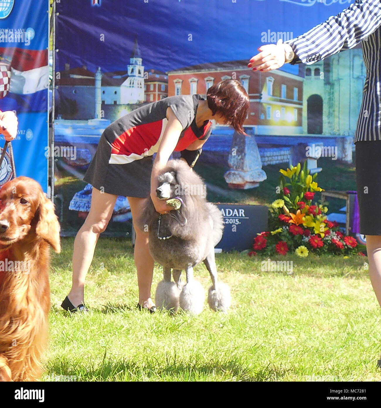 Professional photography show hi-res stock photography and images - Alamy