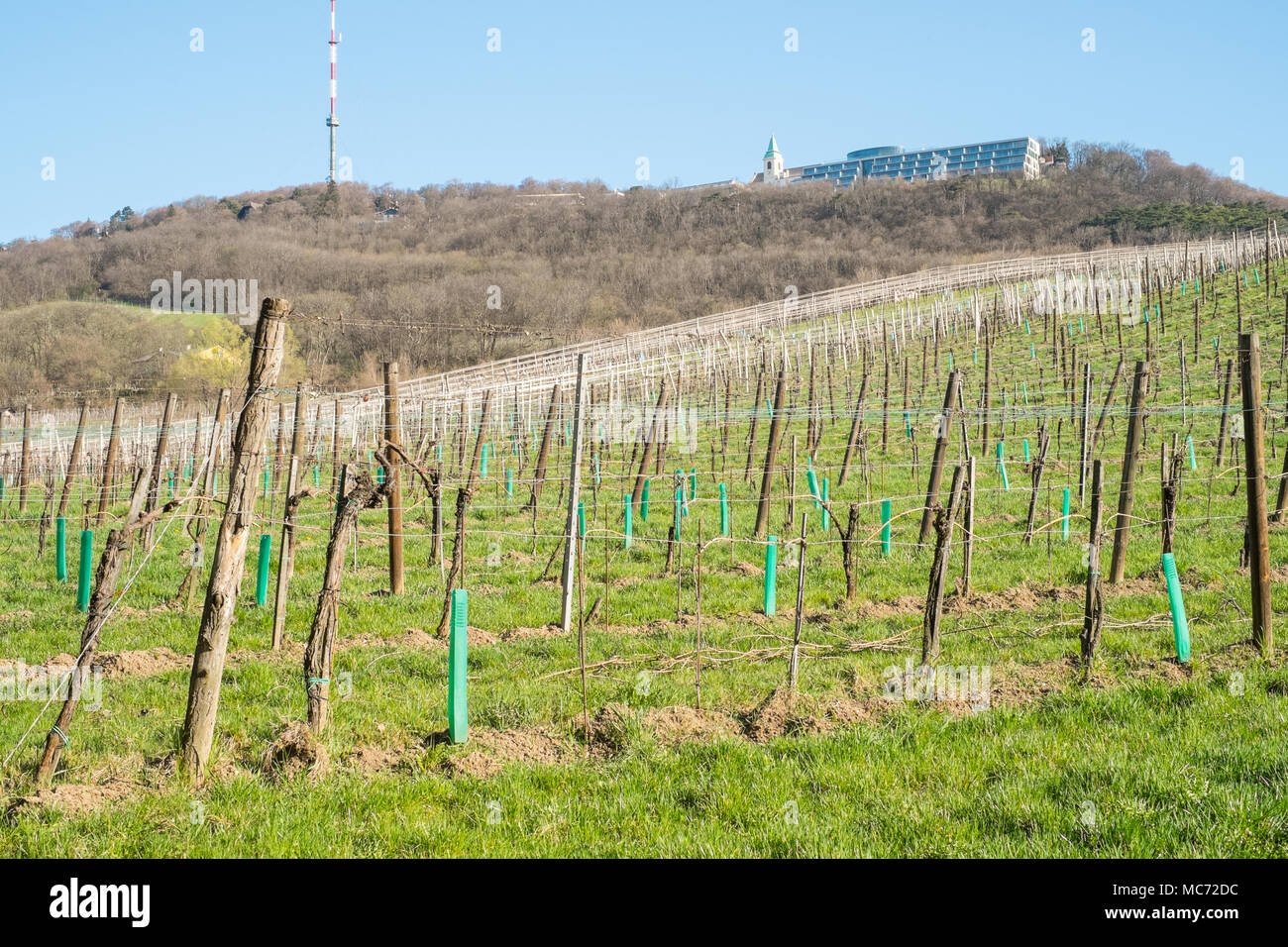 Wienerwald vienna woods hi-res stock photography and images - Alamy