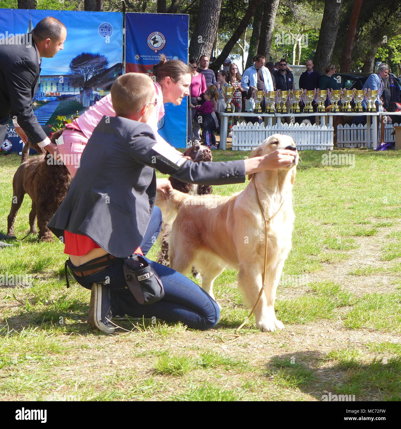 At the dog show Stock Photo - Alamy