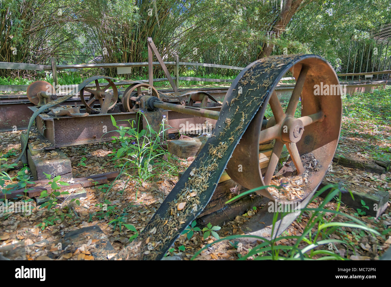 Walter jones hi-res stock photography and images - Alamy