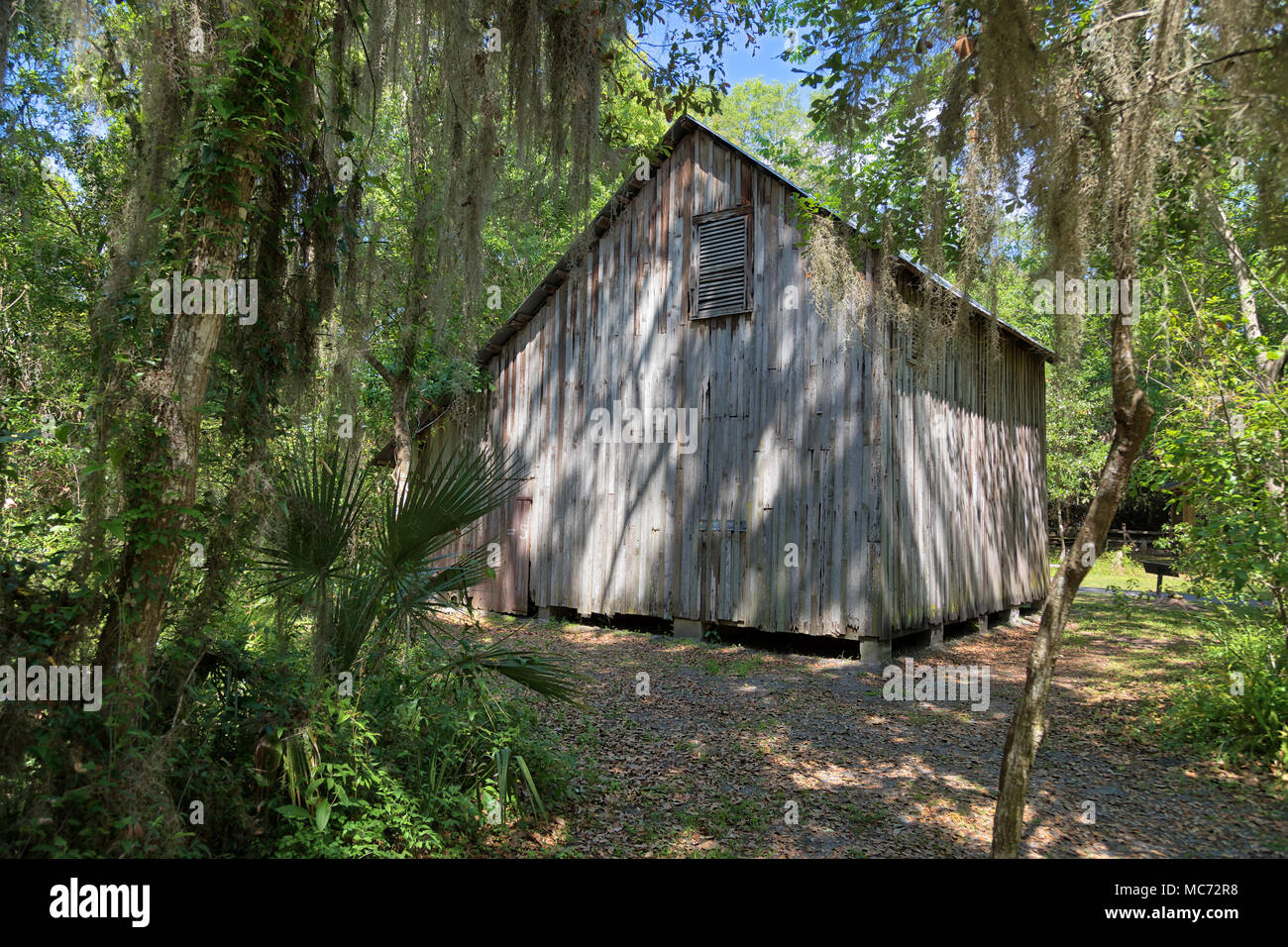 Walter jones hi-res stock photography and images - Alamy