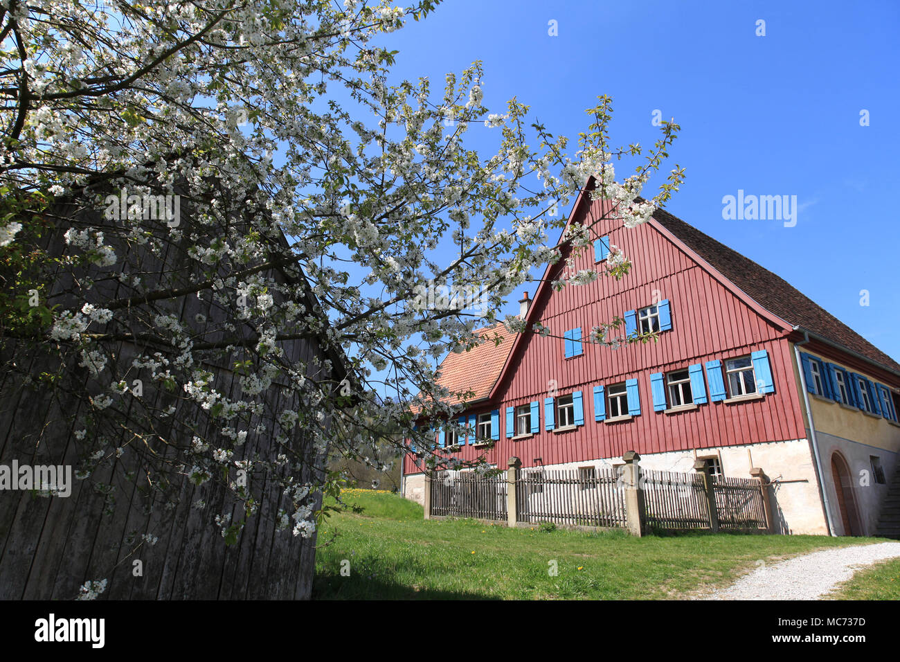Old farm house with blossoming apple tree Stock Photo - Alamy