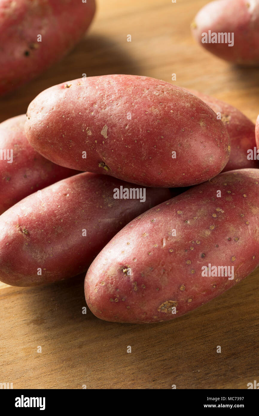 Fingerling hi-res stock photography and images - Alamy
