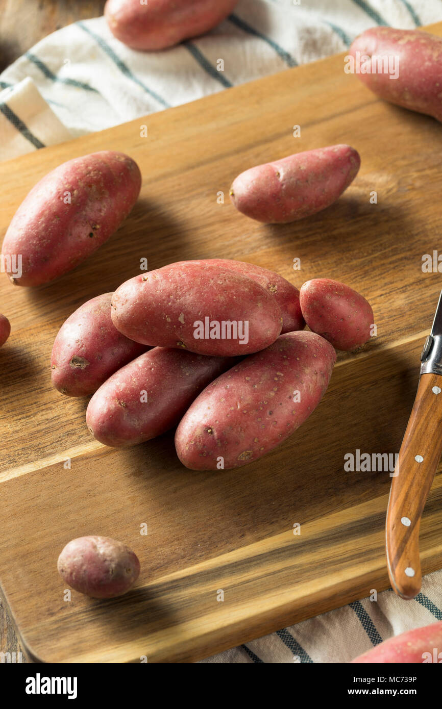 Raw Organic Red Fingerling Potatoes Ready to Cut Stock Photo - Alamy