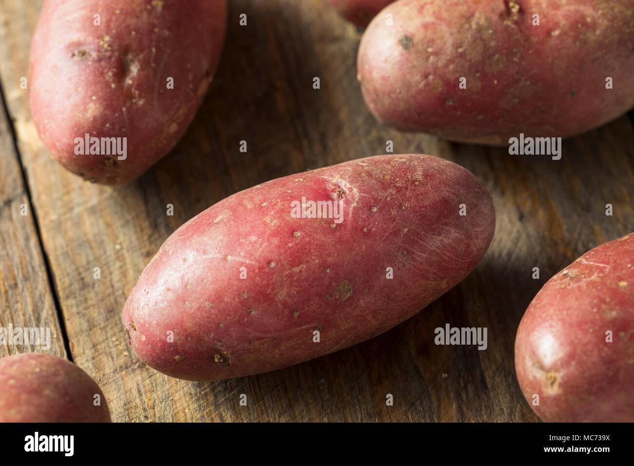 Raw Organic Red Fingerling Potatoes Ready to Cut Stock Photo - Alamy