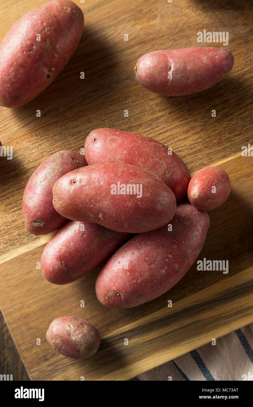 Raw Organic Red Fingerling Potatoes Ready to Cut Stock Photo - Alamy