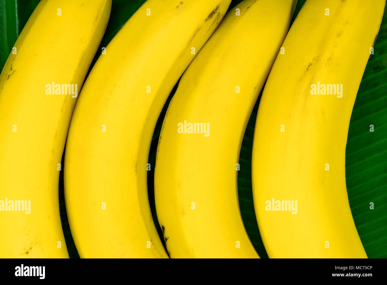 Four leaves placed hi-res stock photography and images - Alamy