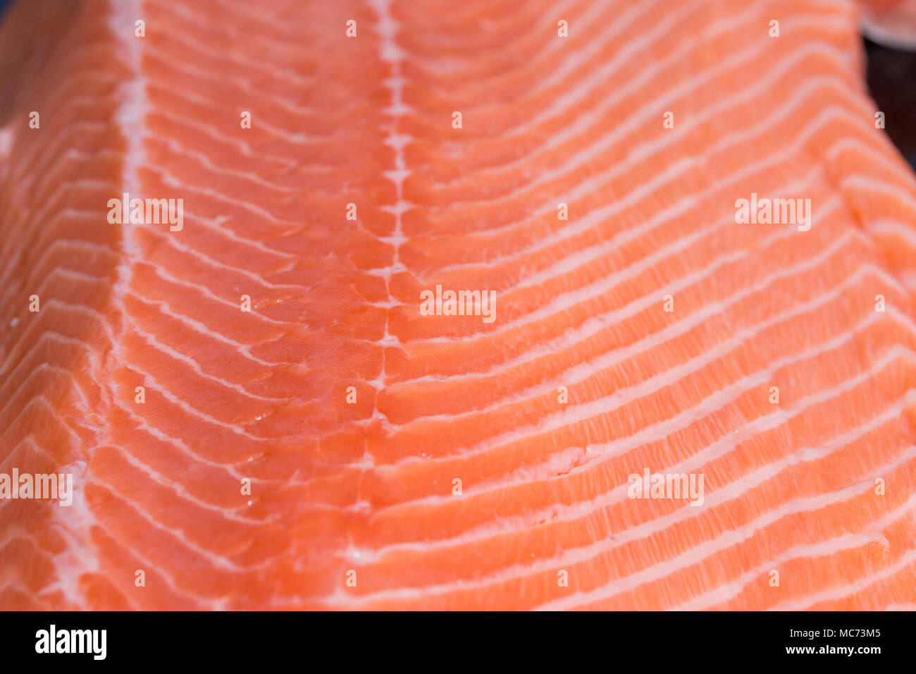 Salmon fillet at a fishmonger Stock Photo - Alamy