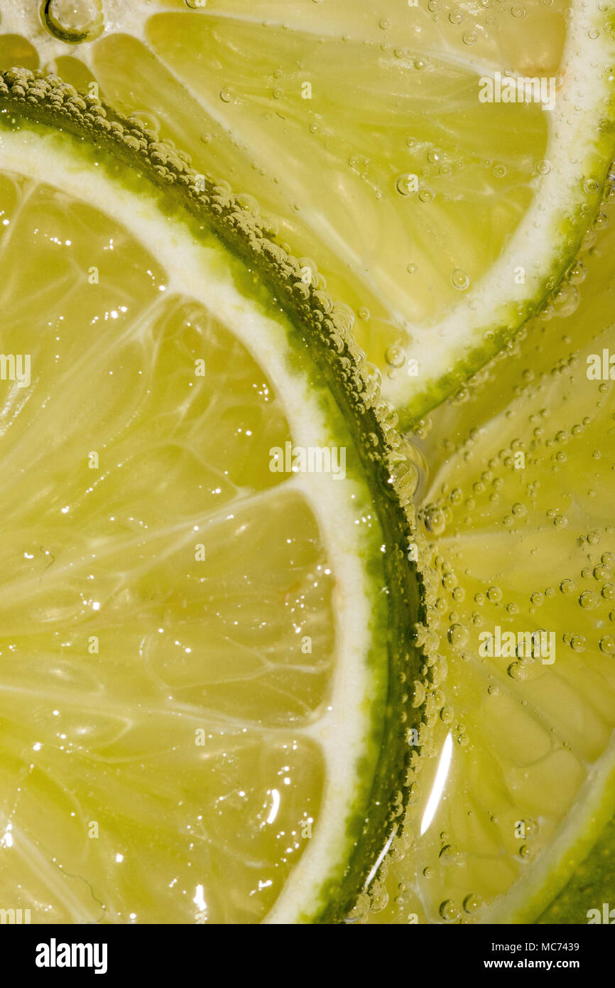 Macro Lime Slices in Sparkling water with bubbles Stock Photo - Alamy