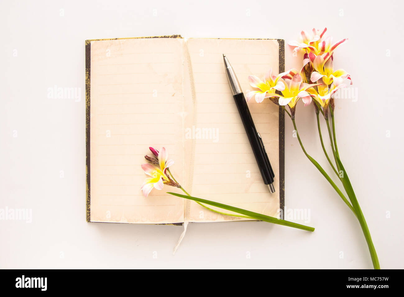 Colorful spring flowers, with blank open diary for text, on white ...