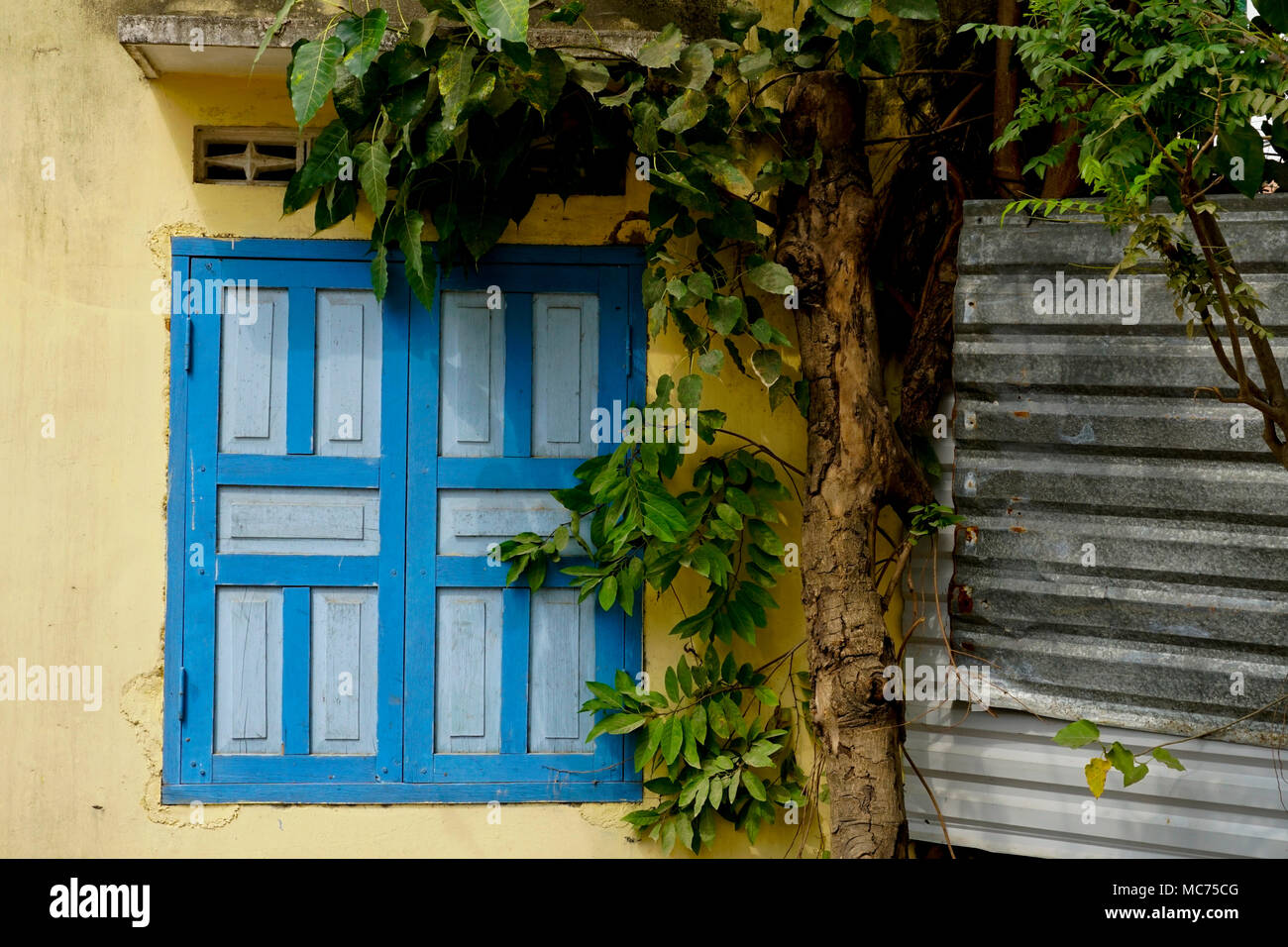 Blue paneled window hi-res stock photography and images - Alamy