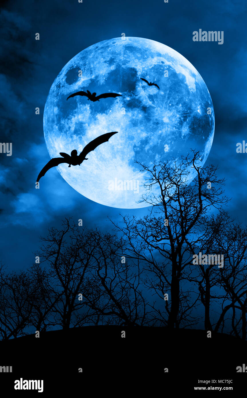 Vampire Moon Backgrounds