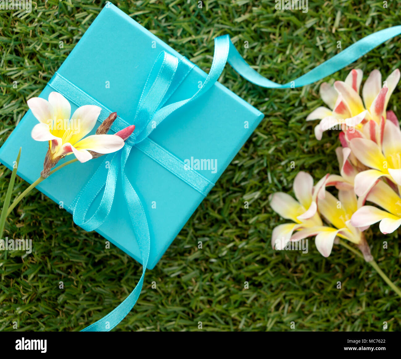 Blue gift box with a bow and flowers, on green grass Stock Photo - Alamy