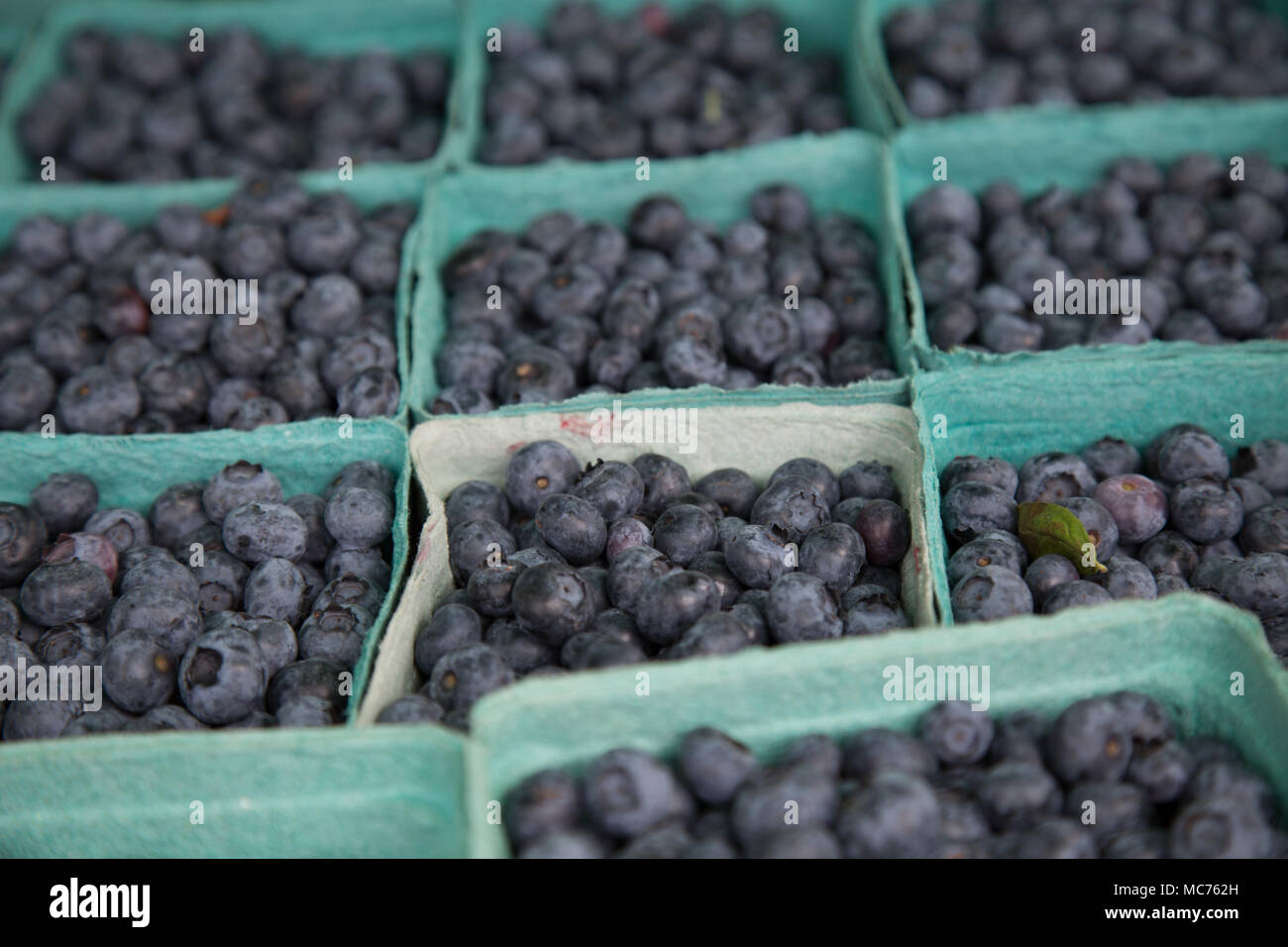 Fresh organic blueberry paper containers nutrition Stock Photo - Alamy