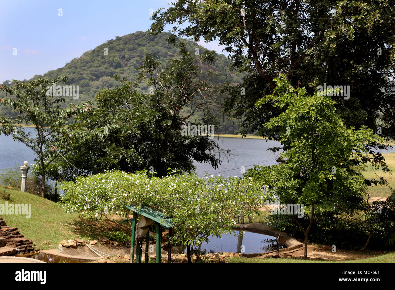 Giritale North Central Province Sri Lanka Giritale Wewa Near the ...