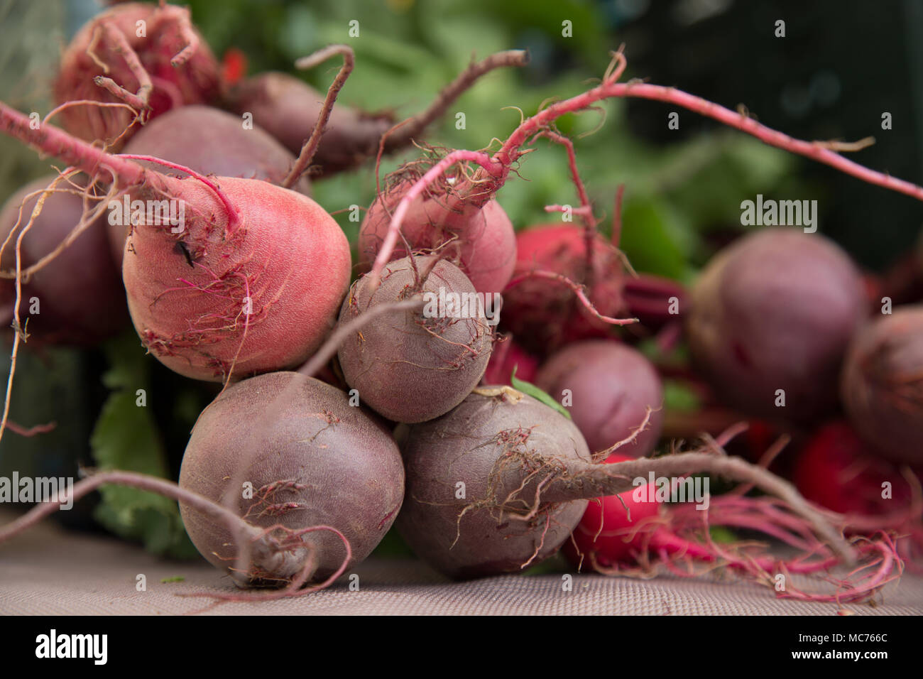 Beetroot organic food market background Stock Photo - Alamy
