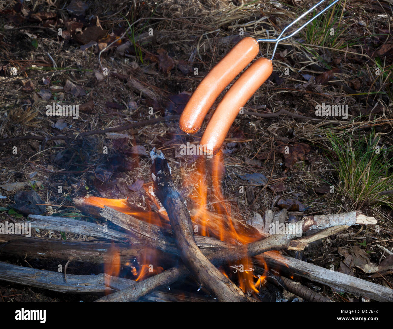Roasting hot dogs at campfire hi-res stock photography and images - Alamy