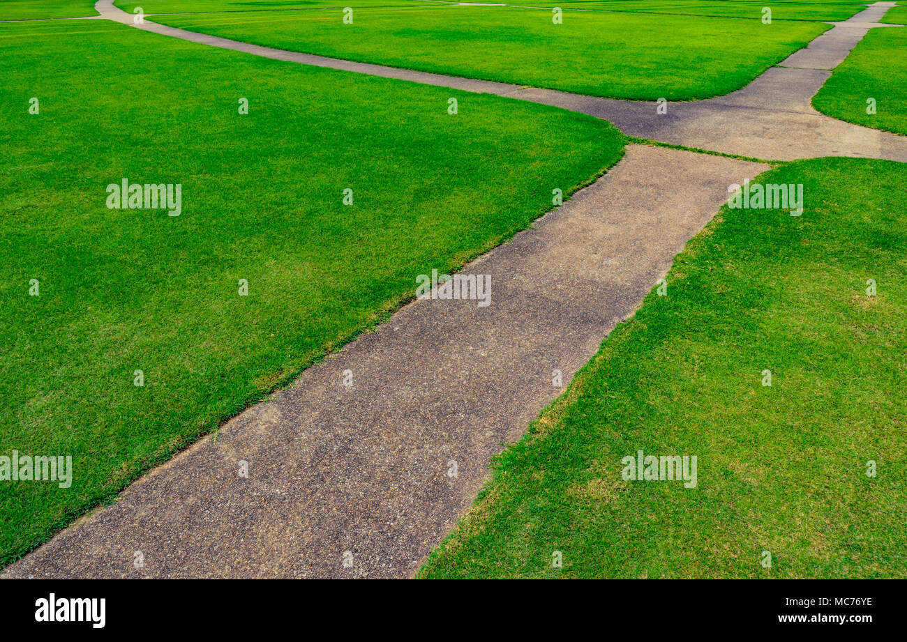 Green grass field with line pattern texture background and walkway ...