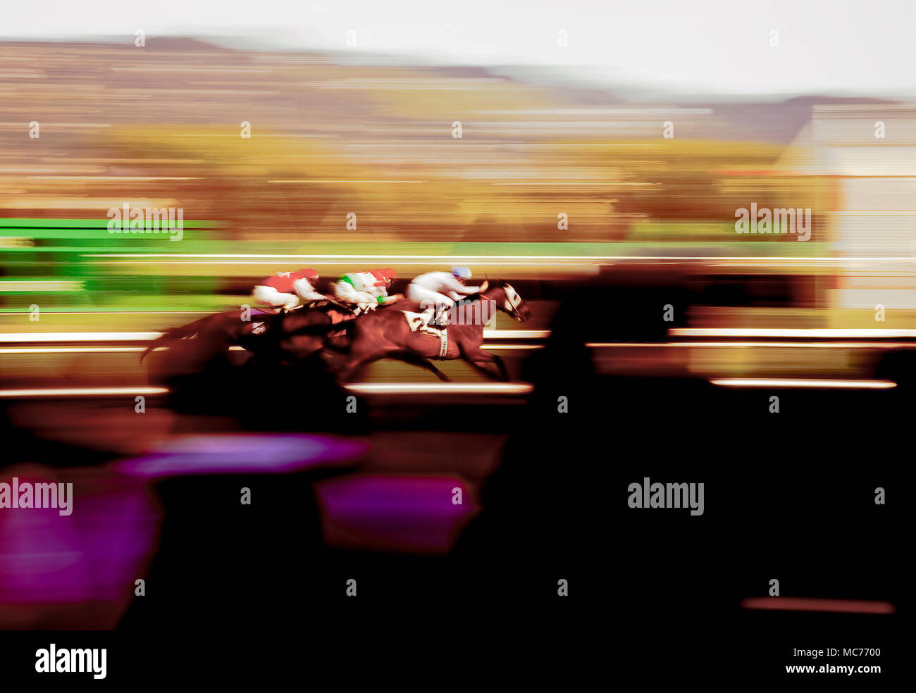 Thrill of winning hi-res stock photography and images - Alamy